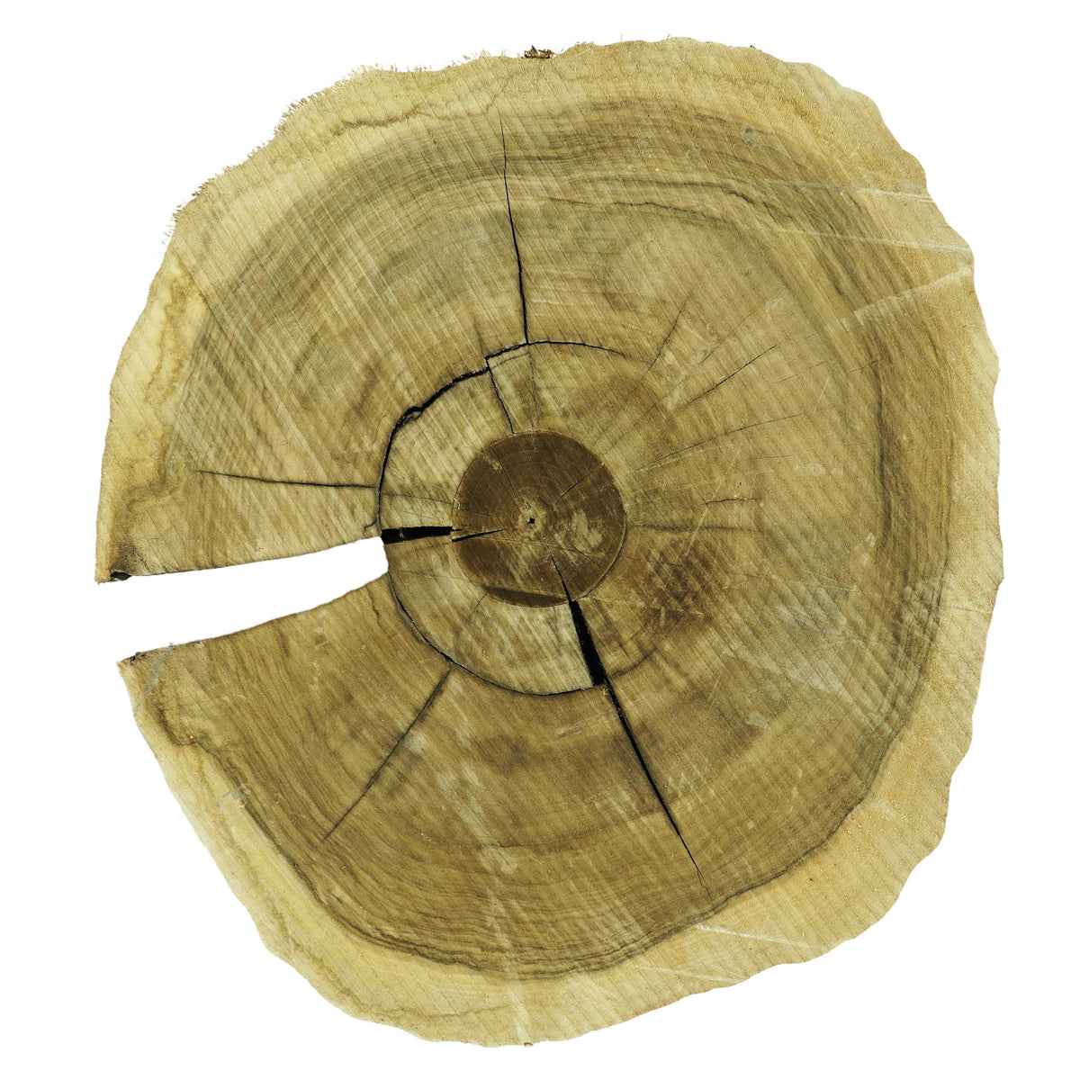 Baumscheibe in Nussbaum (52cm x 47cm x 11cm) – Baumscheibe.com