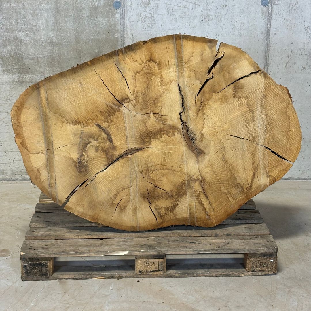 XXL-Baumscheibe in Eiche (ca. 140 x 95 x 11cm) – Baumscheibe.com
