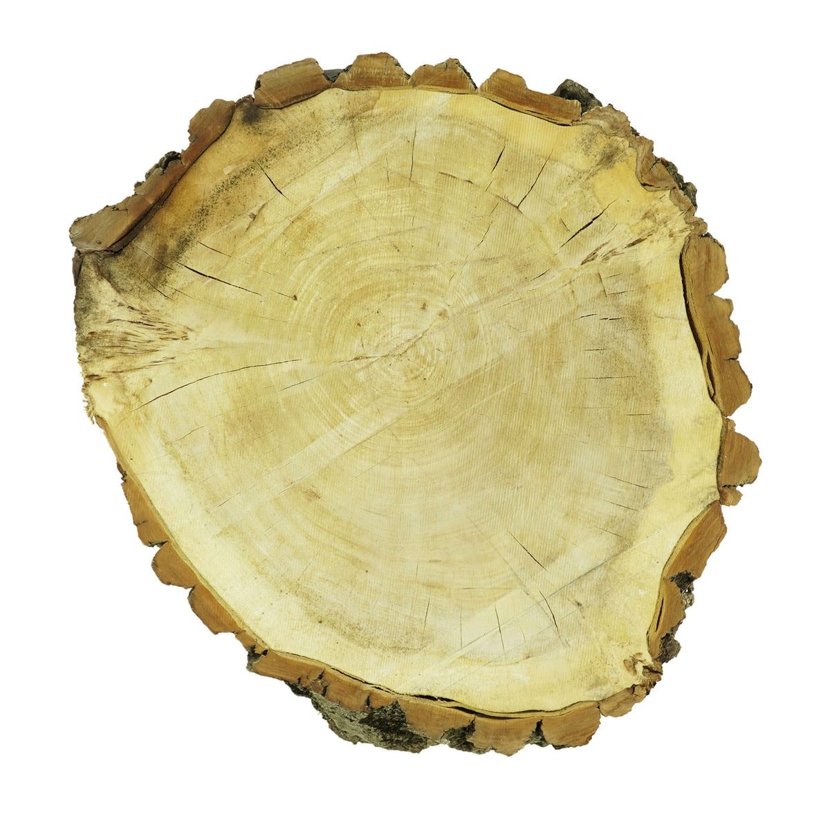 Baumscheibe in Schwarzpappel (71cm x 63cm x 11cm) – Baumscheibe.com